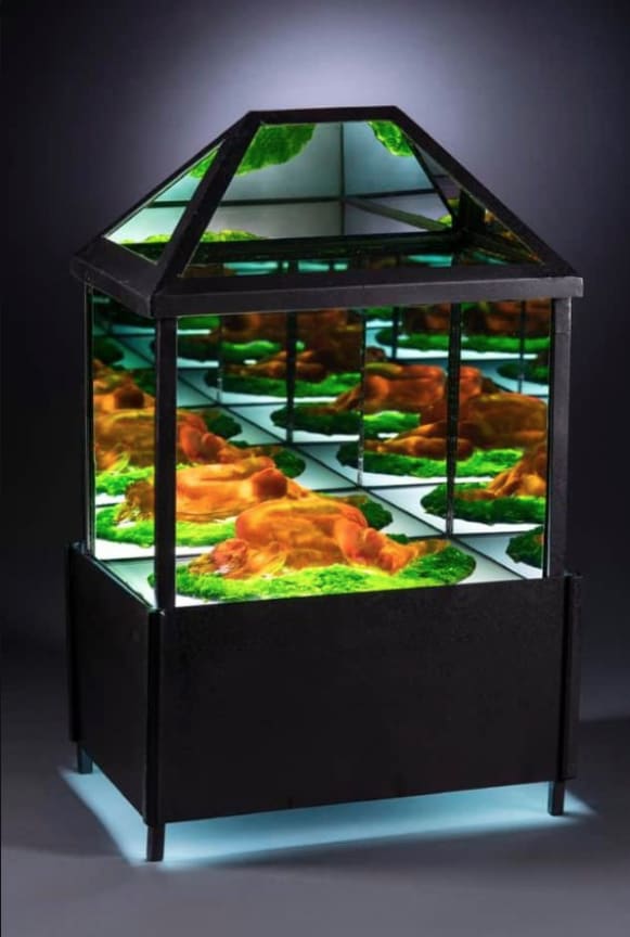 Tim Tate, Sleeping For a Thousand Years | Momentum Gallery