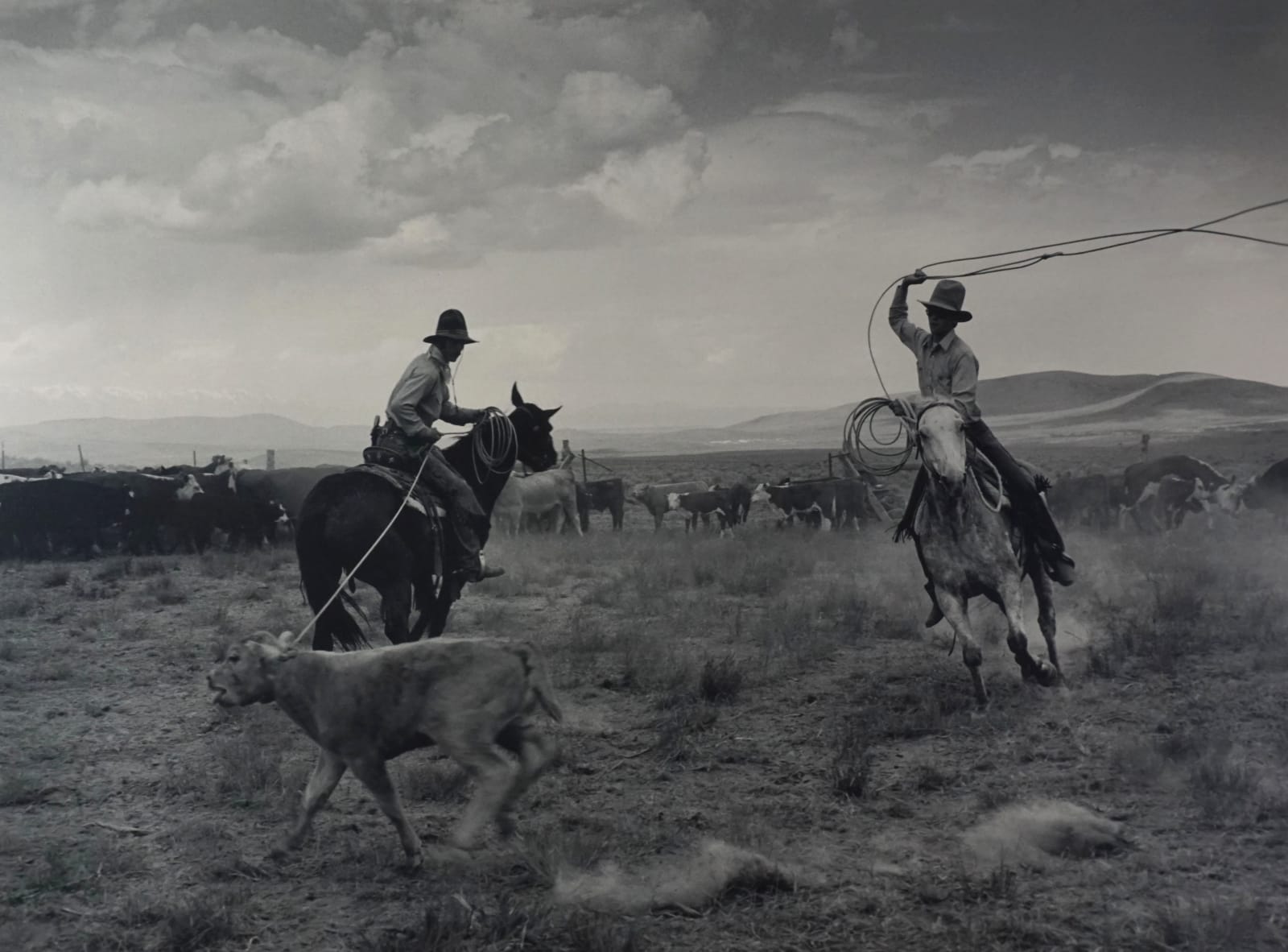 Kurt Markus, Whitehorse Ranch, Fields, Oregon , 1984/printed 2005 ...