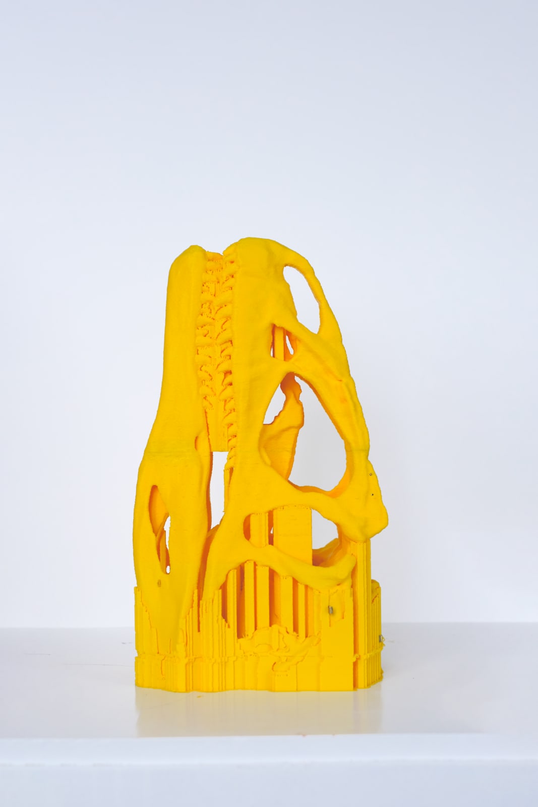 Alan Nguyen, Allosaurus Fragilis L yellow | Rademakers Gallery