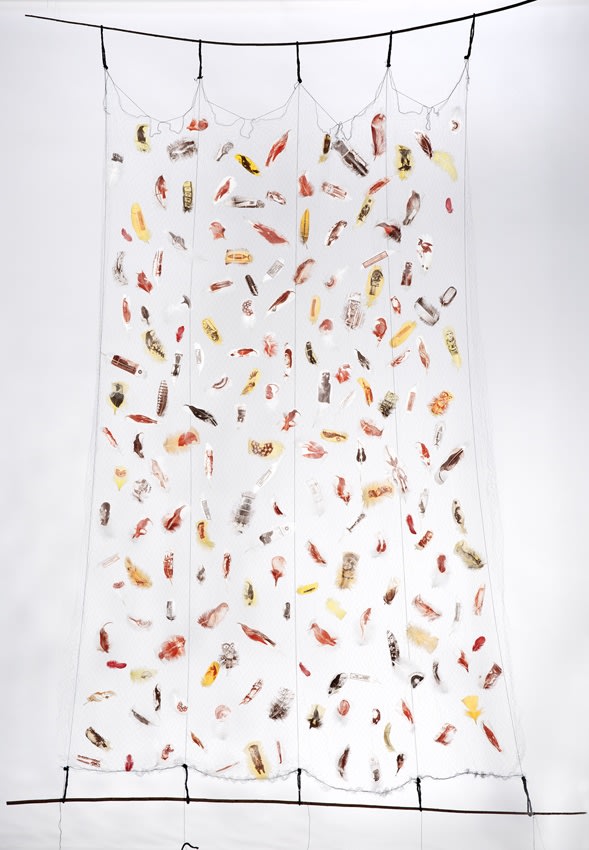 Rebecca Jewell, Trapped, 2016 | Rebecca Hossack Art Gallery