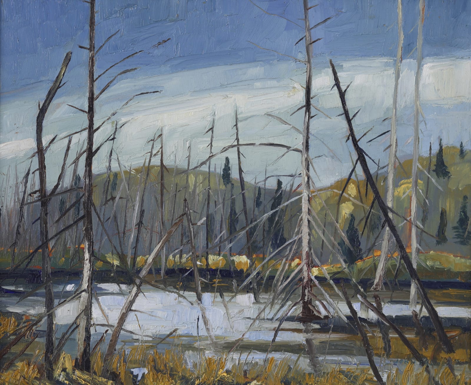 John Angus Palmer, Swamp North of Huntsville, 1970 | Rookleys