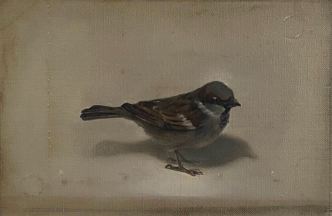 Derrick Guild RSA, Sparrow | The Academicians' Gallery