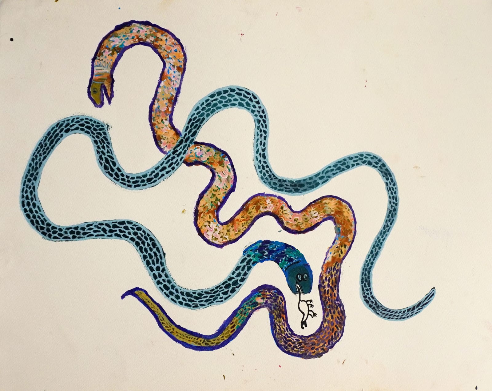 Mary Pan, Animal Tjuta - Animals from Watarru, 2025 | Short St Gallery