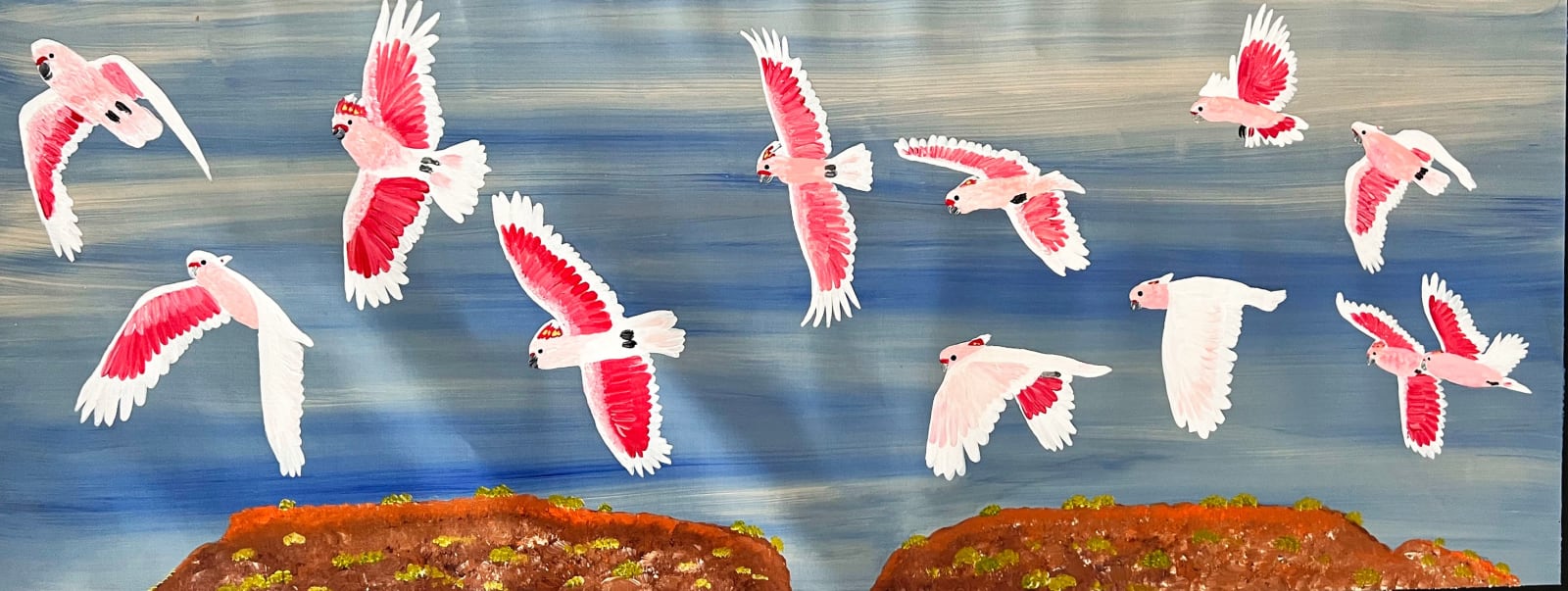 Kukula Mcdonald, Pink Heads flying in Alice Springs, 2024 | Short St ...