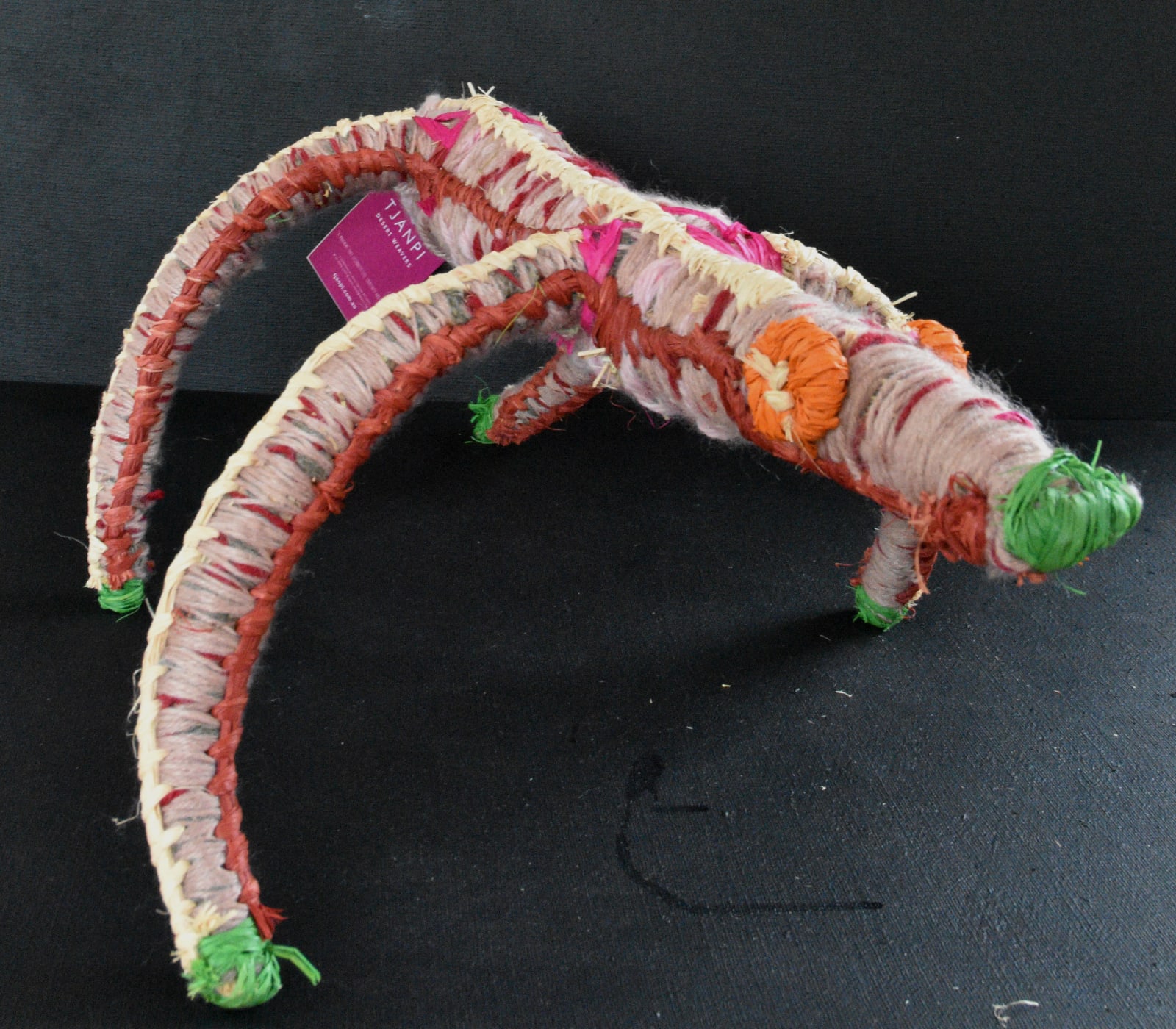 Joyce Badenoch (Robbin), Tinka (Lizard), 2021 | Short St Gallery