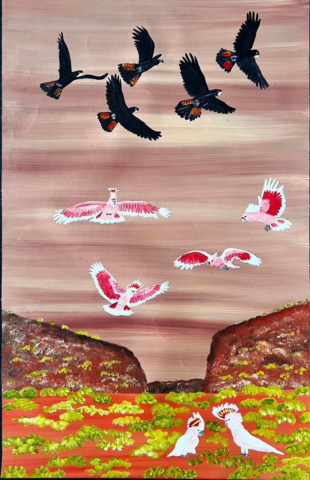 Kukula Mcdonald, Pink Heads Flying in Alice Springs, 2024 | Short St ...