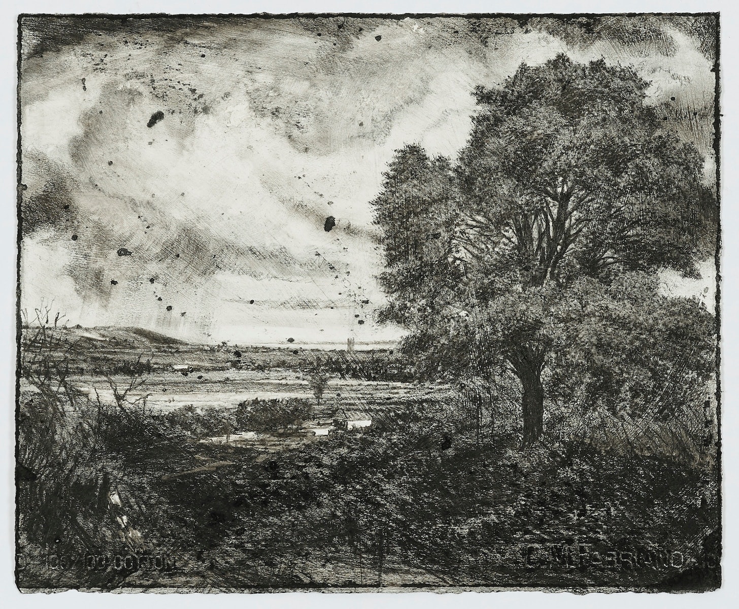 Michael Wann, A Tree for Constable, Vale, 2019 | Solomon Fine Art