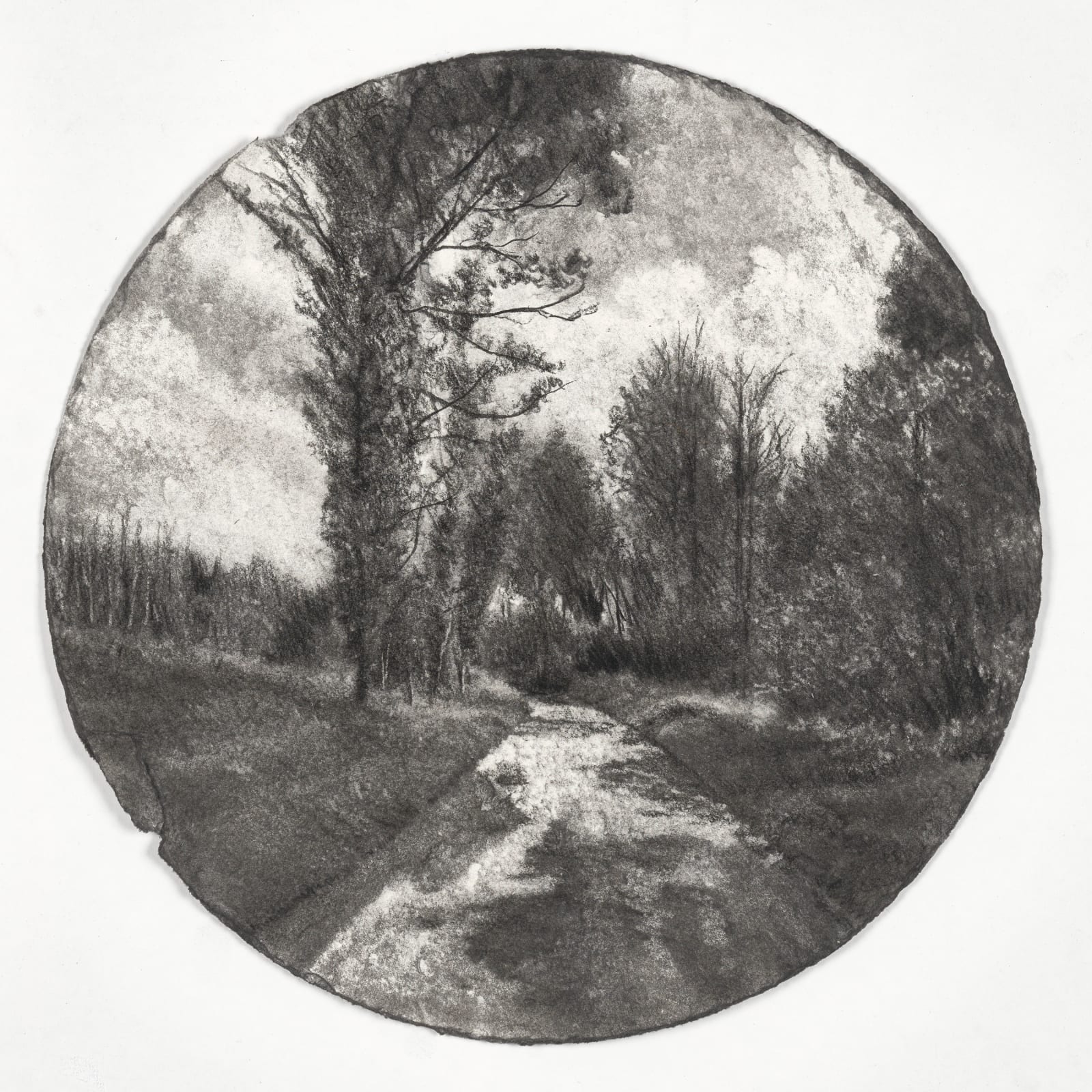 Michael Wann, Shadow Avenue 5, 2025 | Solomon Fine Art