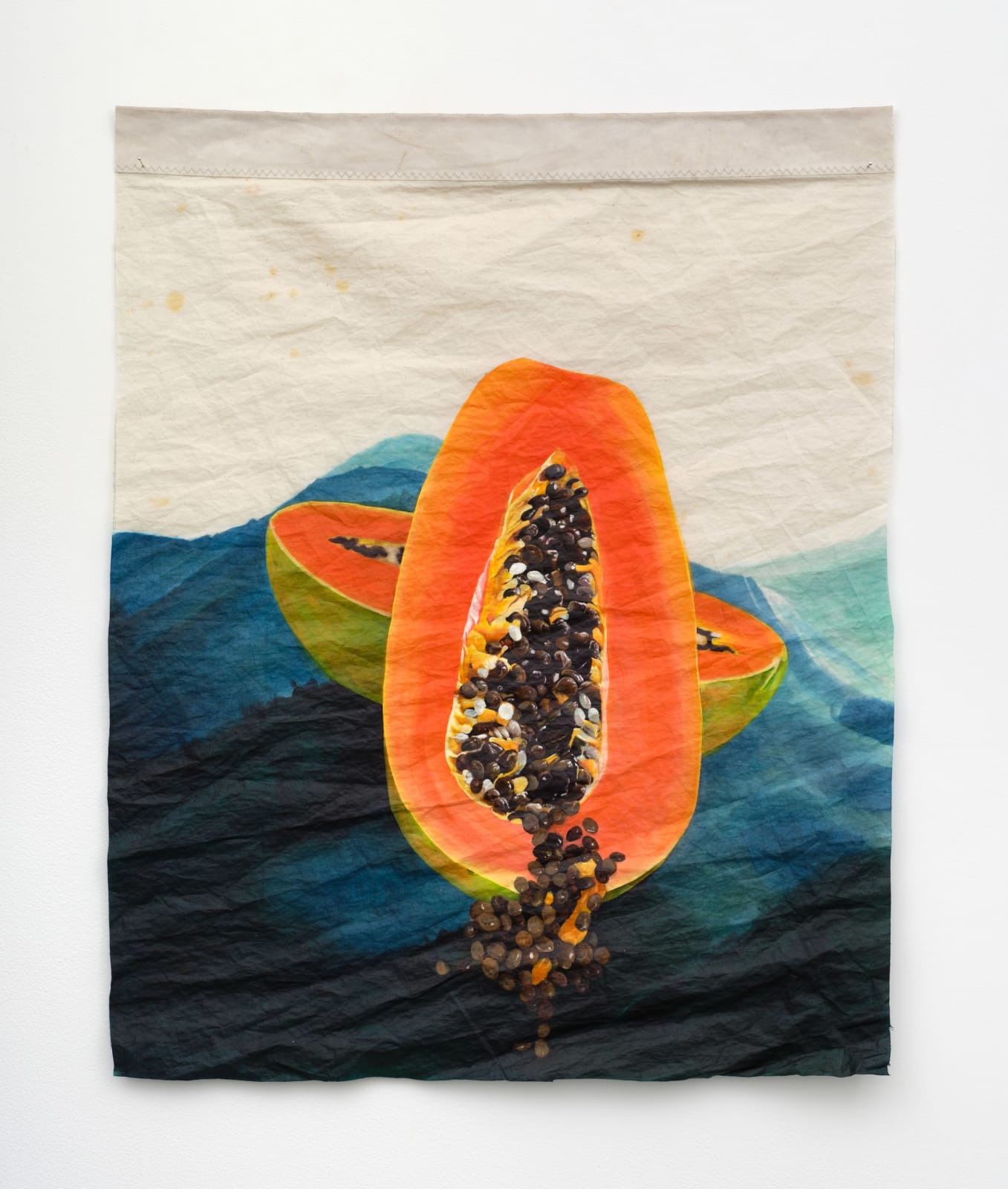 Yaron Michael Hakim, No Dar Papaya (ii), 2024 | Tanya Bonakdar Gallery