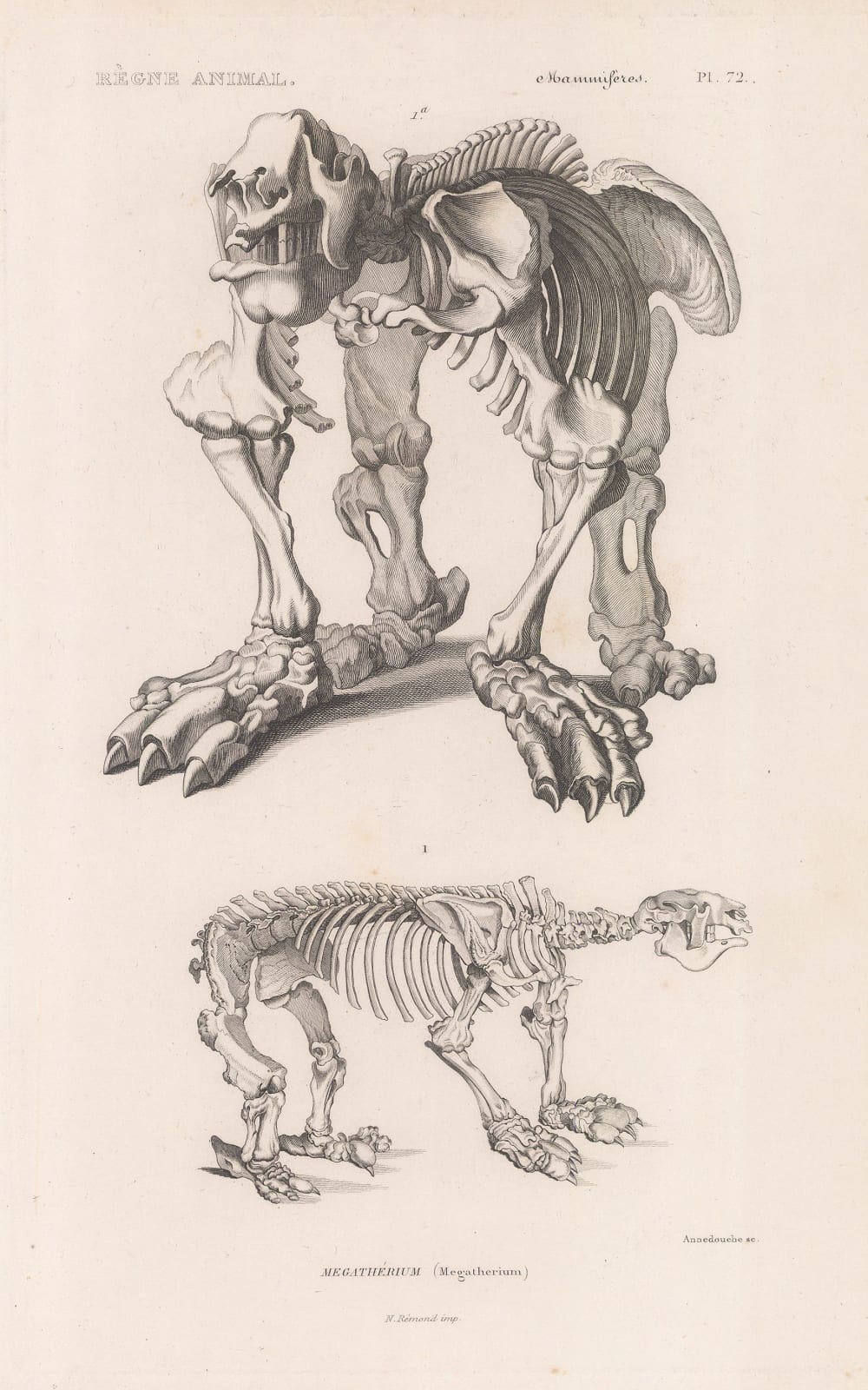 Baron Georges Cuvier, Paleontology - Megatherium, 1849 | The Map House