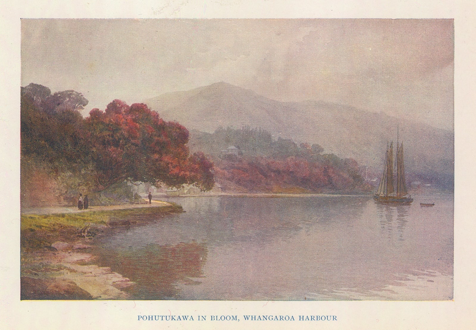 A. & C. Black Ltd., New Zealand - Whangaroa Harbour, 1915 | The Map House