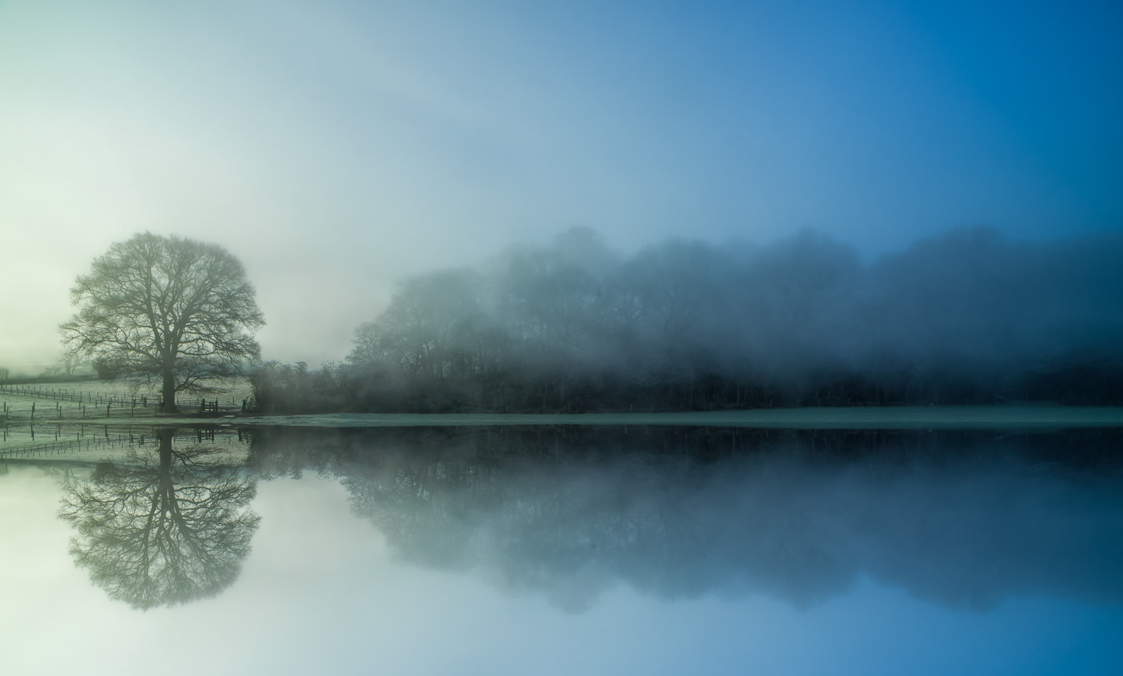 Adrian Houston, Landscape Ancient Woodland Burnham Beeches ...