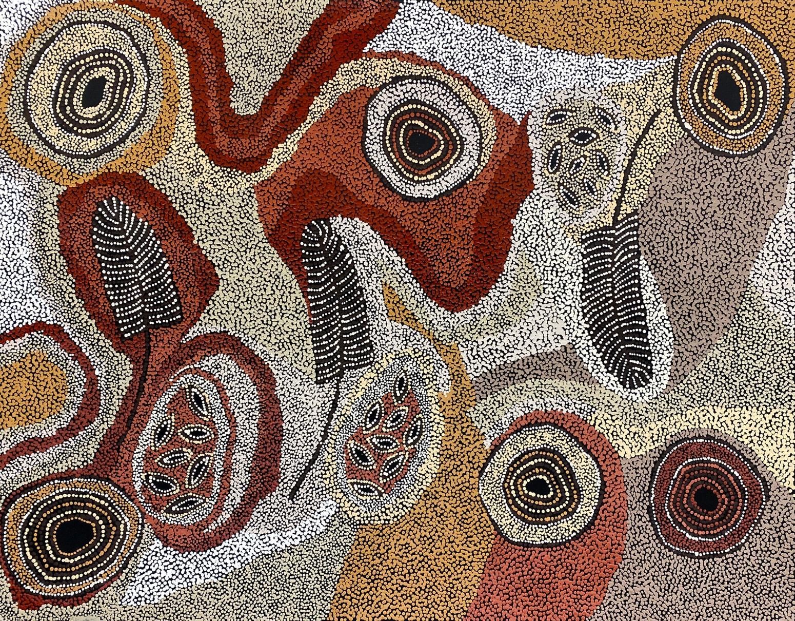 Alison Munti Riley, Wangunu (Bush Damper Seed) by Alison Munti Riley ...