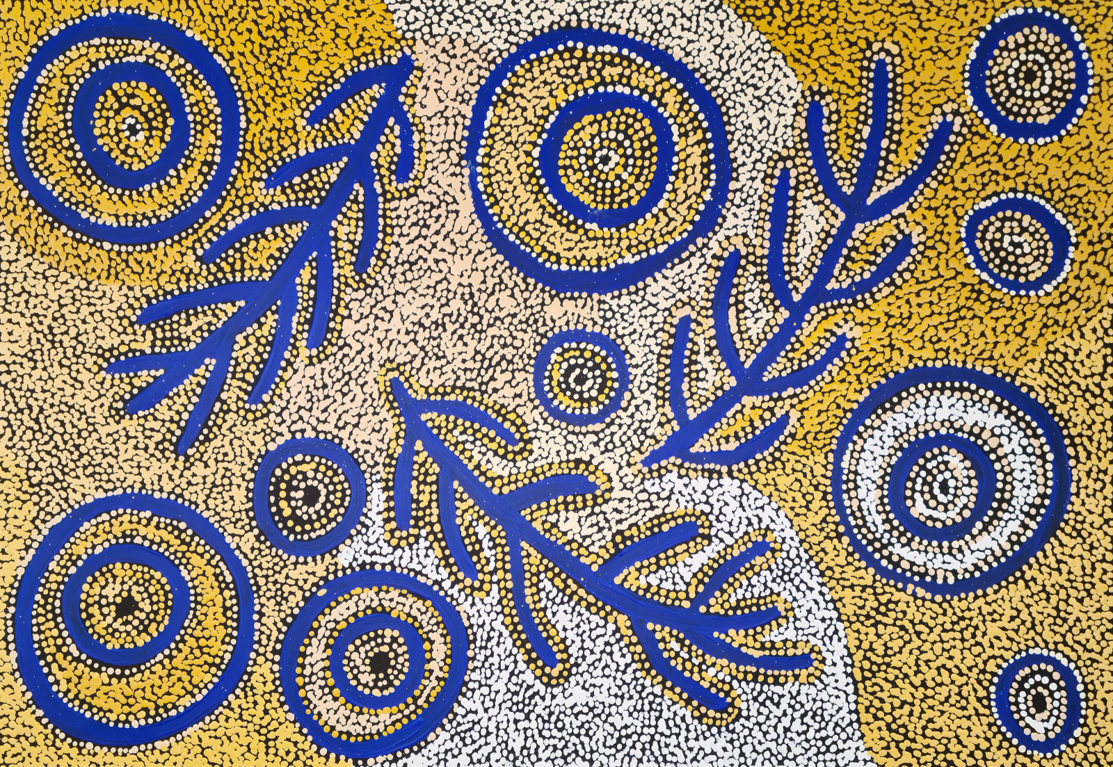 Alison Munti Riley | Aboriginal Artist | This Is Aboriginal Art