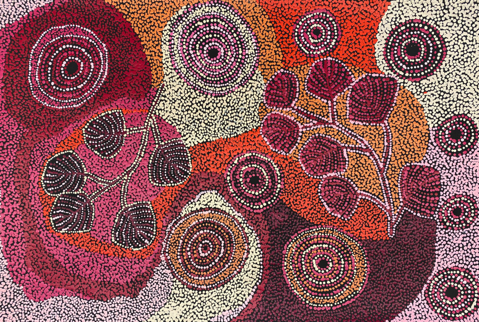 Alison Munti Riley, Wangunu (Bush Damper Seed) by Alison Munti Riley ...