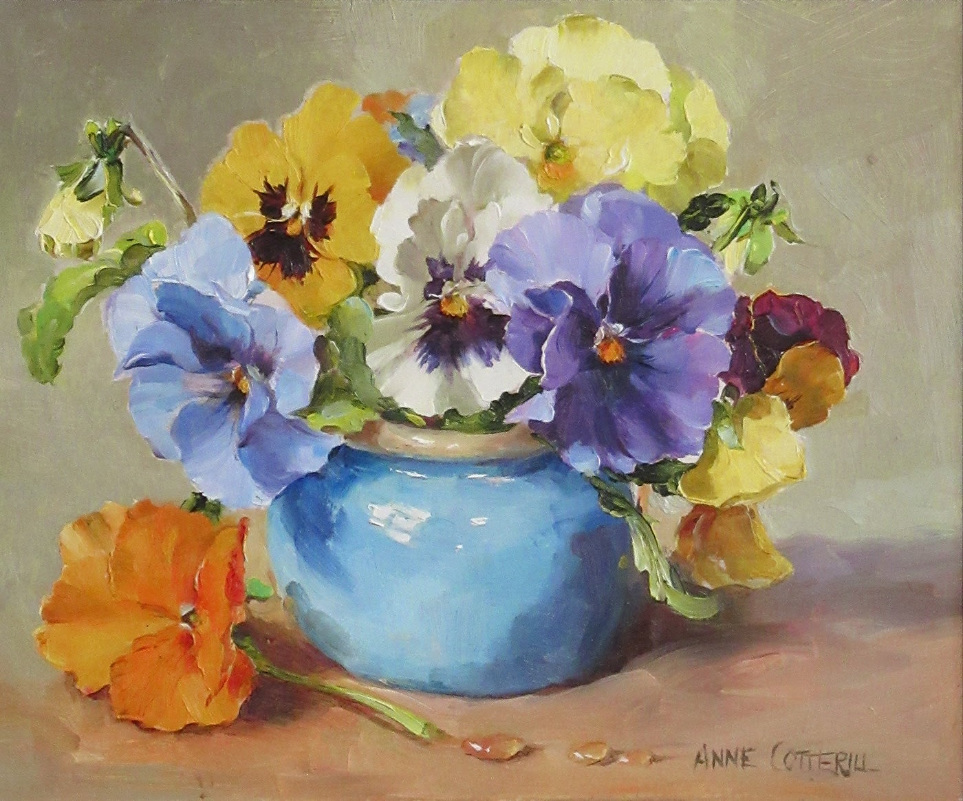 Anne Cotterill, Mixed Pansies | Thompson's Gallery