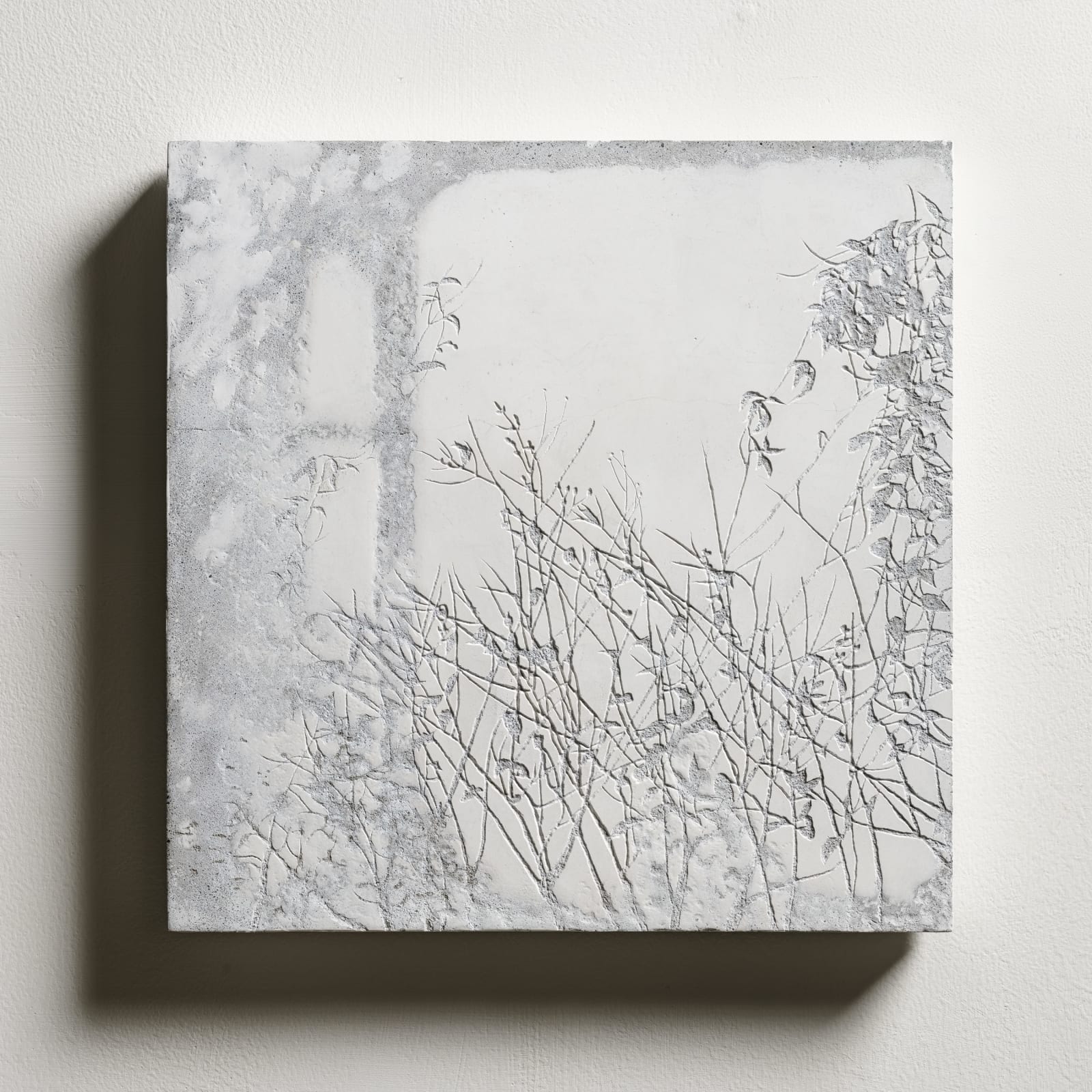 邱承宏, 採光 No. 33, 2022 | TKG+