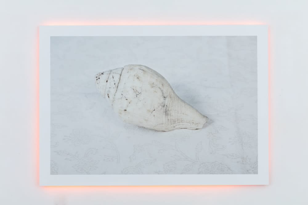 Atul Bhalla, False Halo, Auscultation, Under Seige, 2022 | Vadehra Art ... Atul Bhalla, False Halo, Auscultation, Under Seige, 2022 | Vadehra Art ...