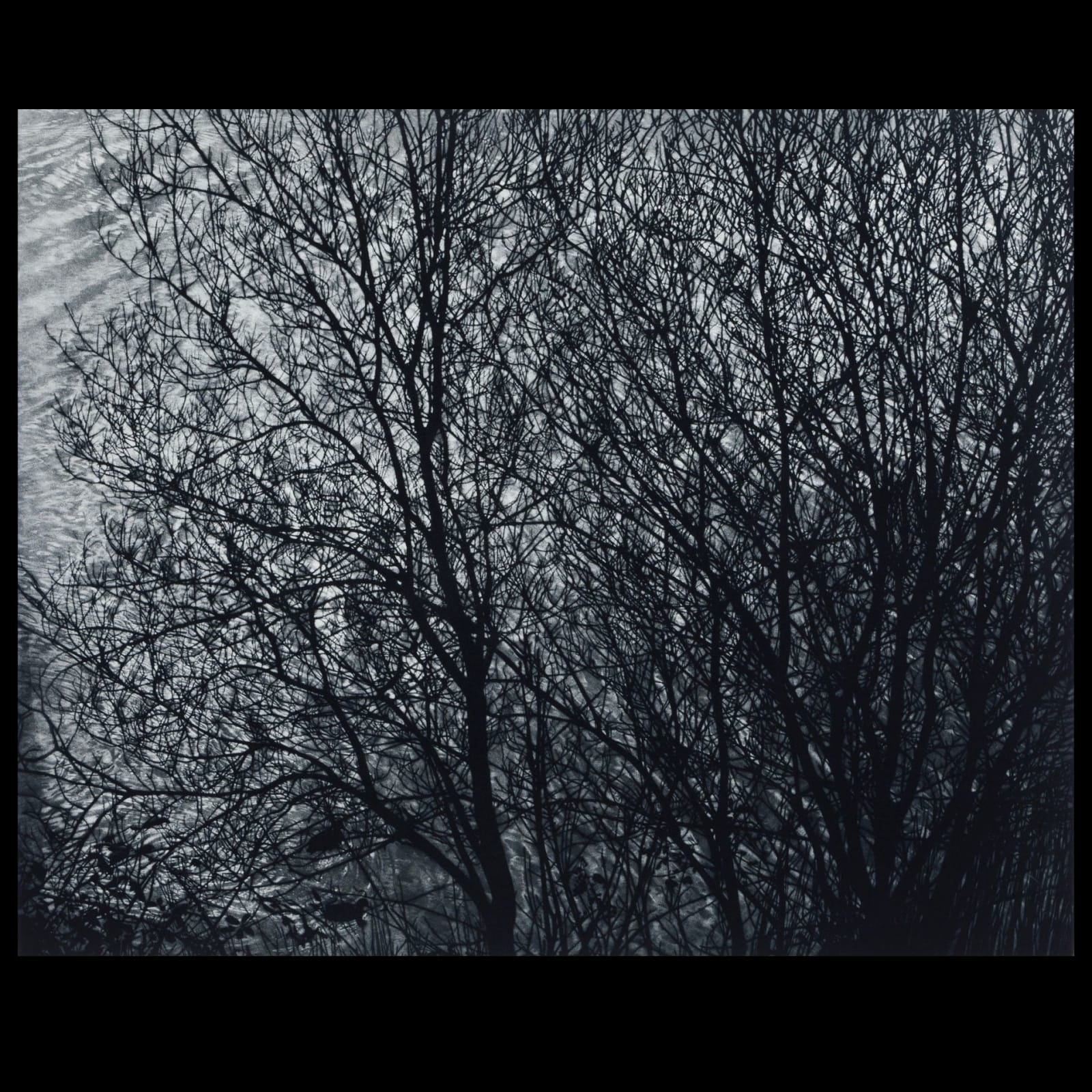 Sarah Gillespie, The Graces, 2023 | Velarde | Contemporary Art Gallery ...