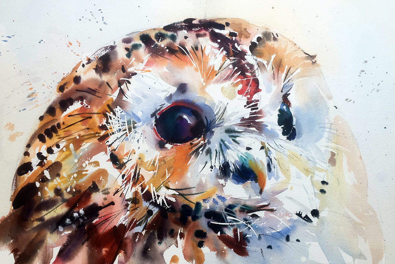 Jake Winkle, TAWNY TEXTURES