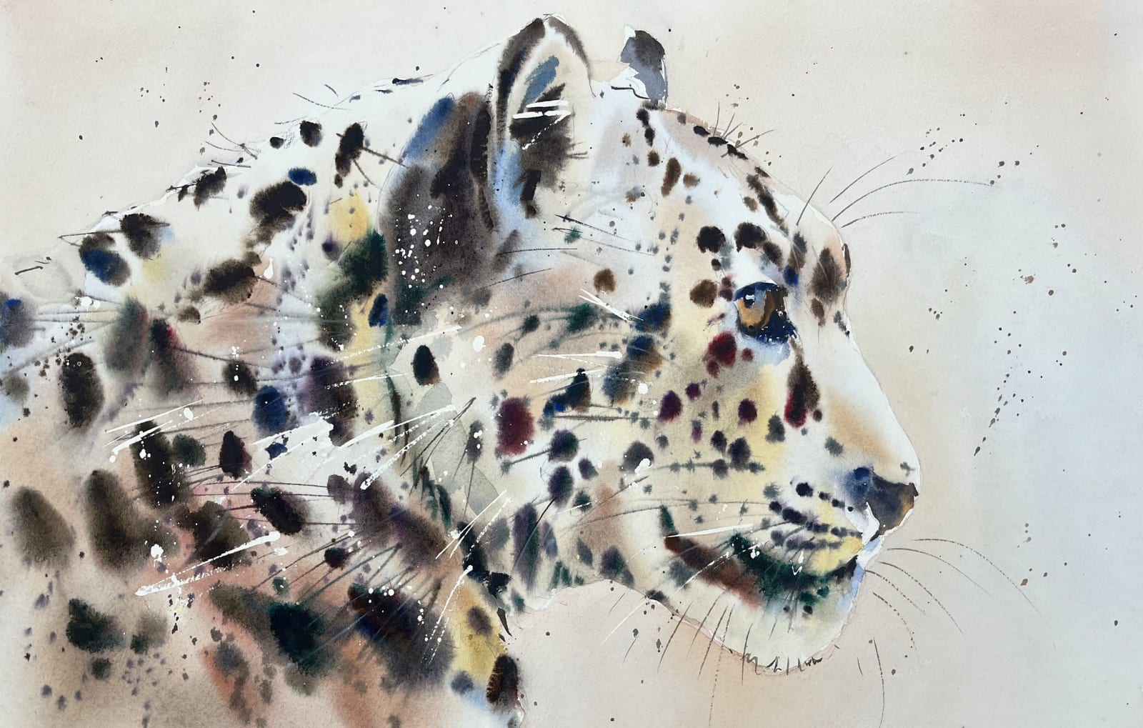 Jake Winkle, SNOW LEOPARD