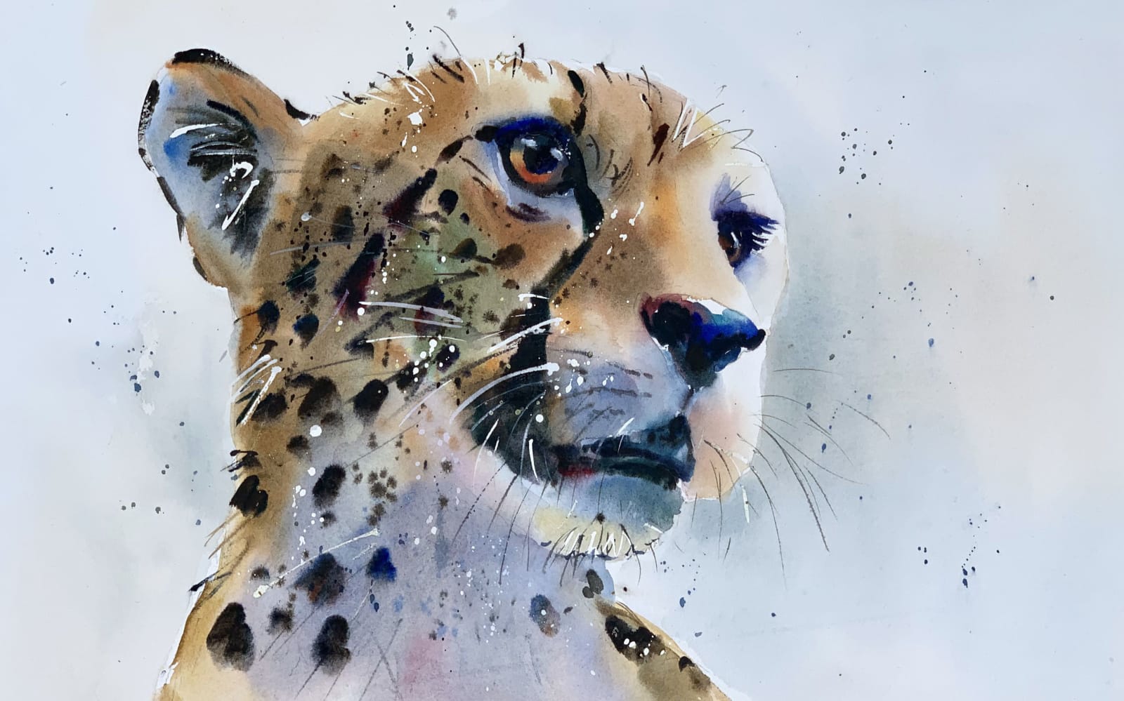 Jake Winkle, REGAL CHEETAH