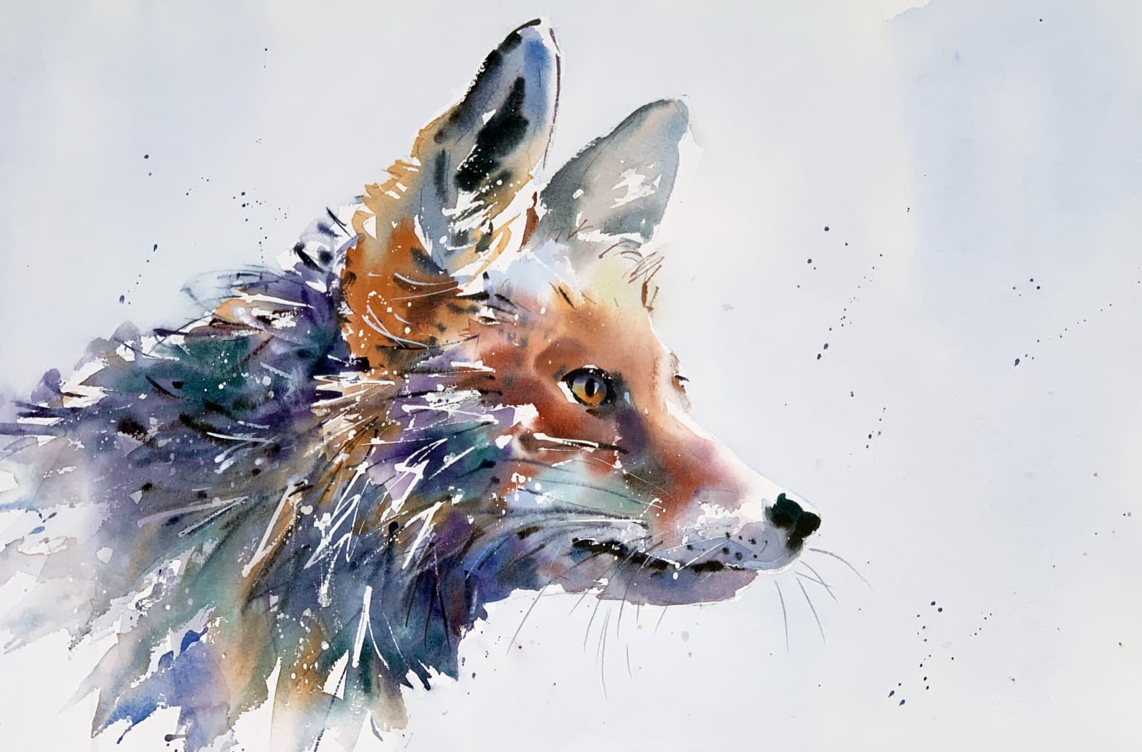 Jake Winkle, FOXED