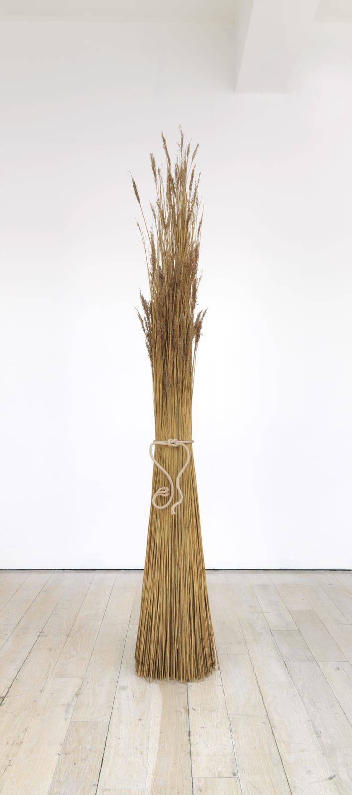 Christopher Mayer, Bundle, 2022 | Annely Juda Fine Art