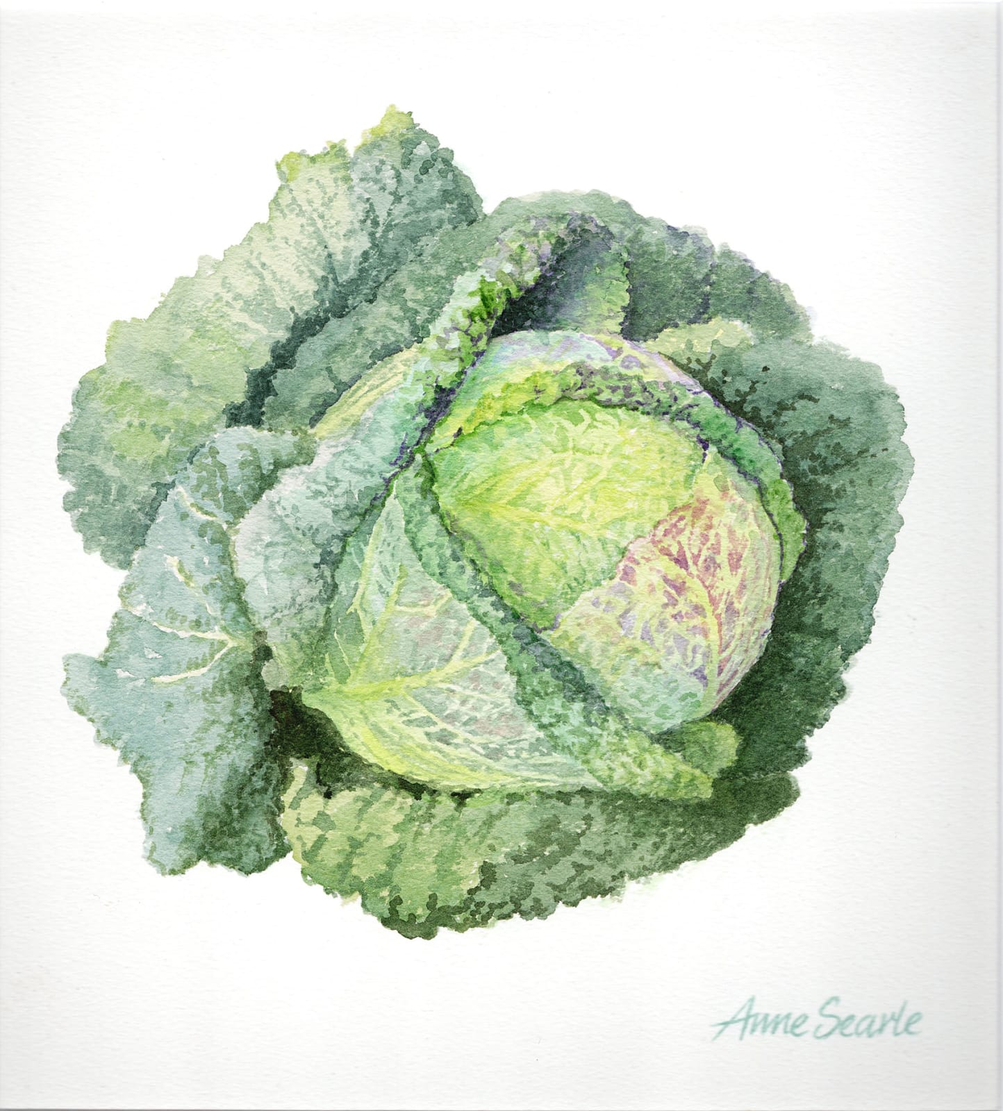 Anne Searle, Savoy | Society of Scottish Artists