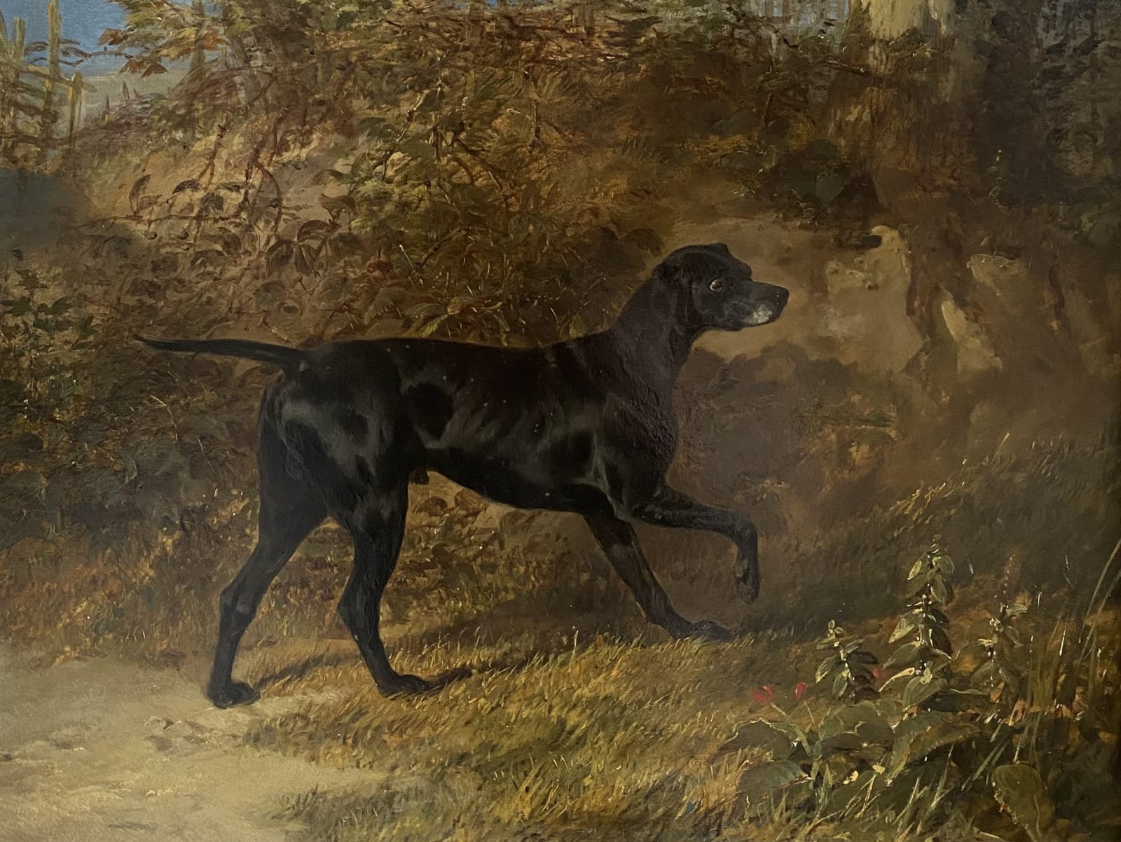 John Frederick Herring Senior (1795-1865), A black pointer in a ...