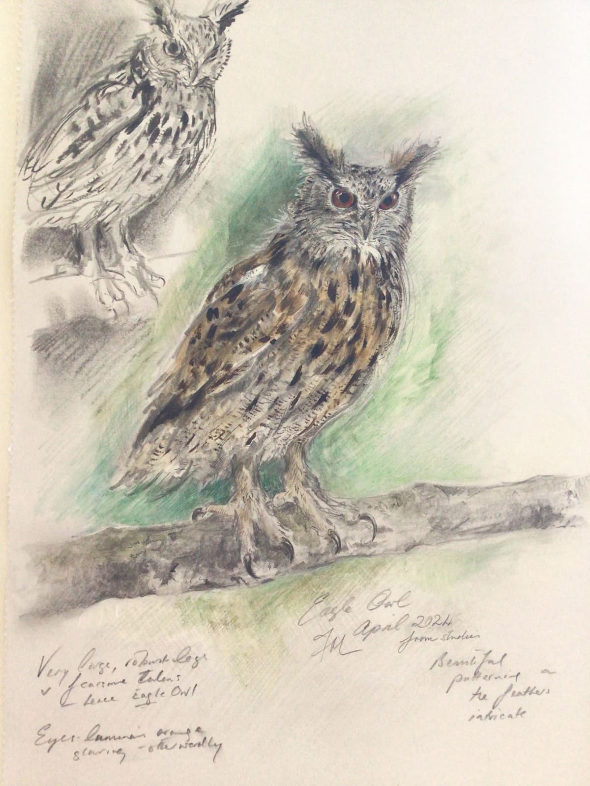 Fiona Mackenzie, Eagle Owl 1 , 2024 | Alchemist Gallery