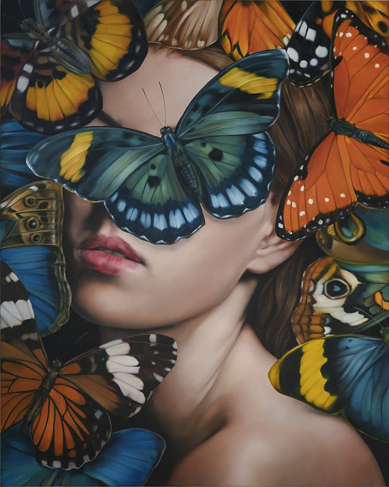 Amy Judd, Tapestry of wings, 2024 | Hicks Gallery