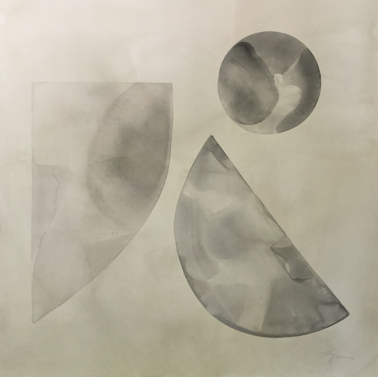 Laura Naples, Lunaria, 2022 | ARDEN + WHITE GALLERY