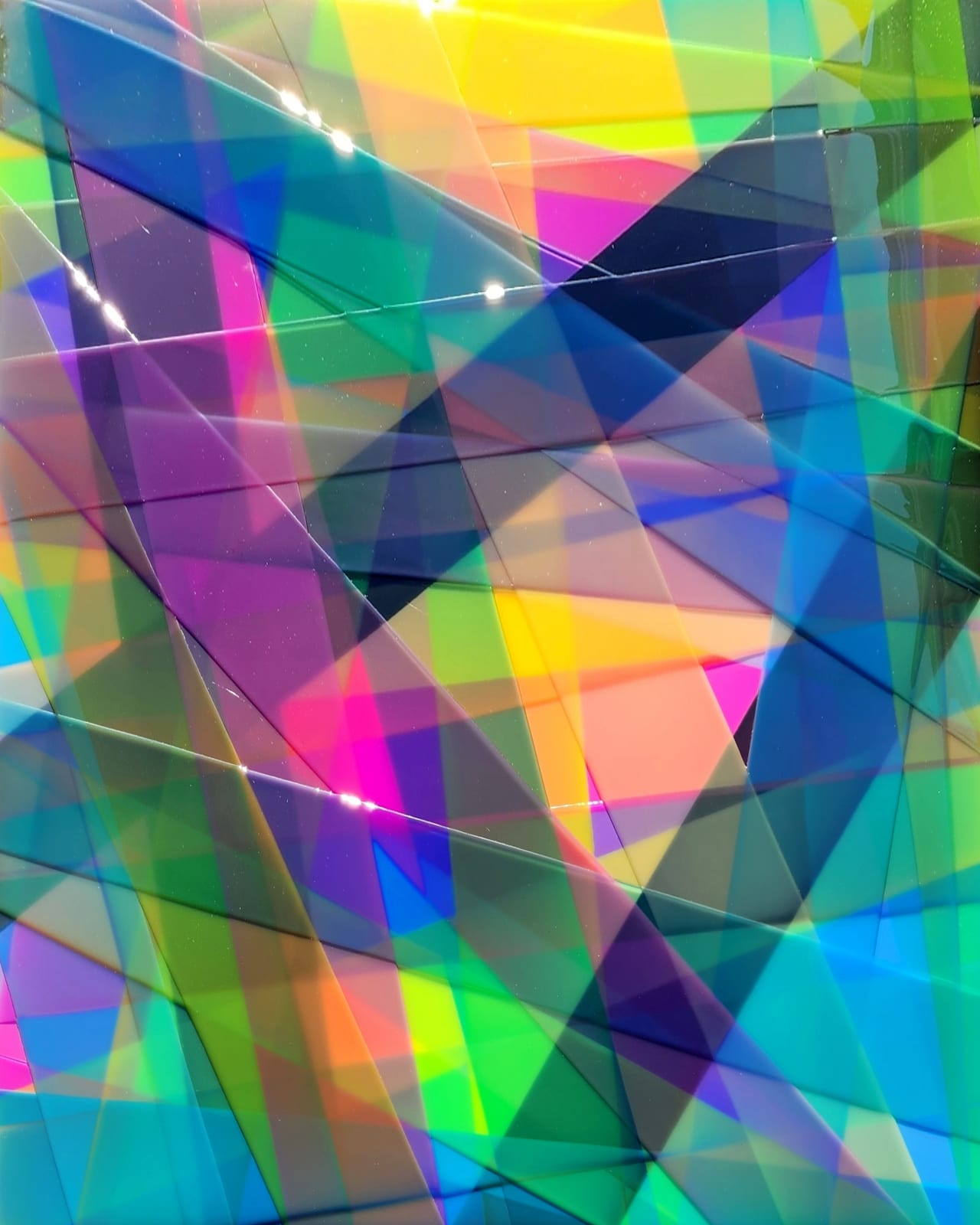 Fara Thomas, Jungle Path, 2023