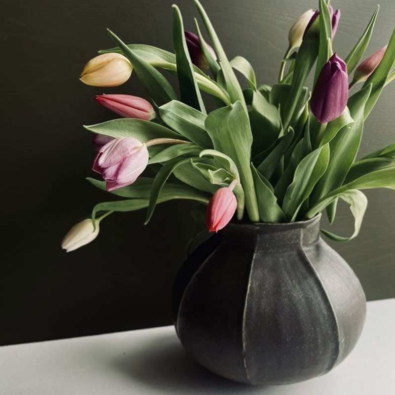 Laura Huston, Poppy II, 2025 | Contemporary and Country