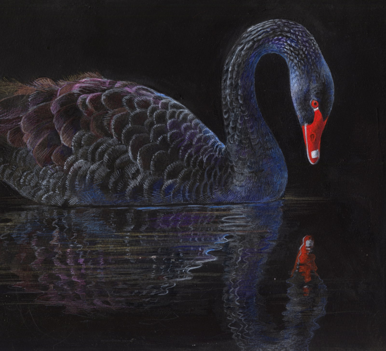 Emma Faull, Black Swan reflected | Rountree Tryon
