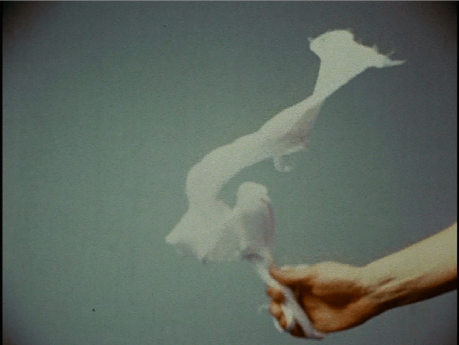 Jamie Nares, Cloth, 1998 | Kasmin Gallery