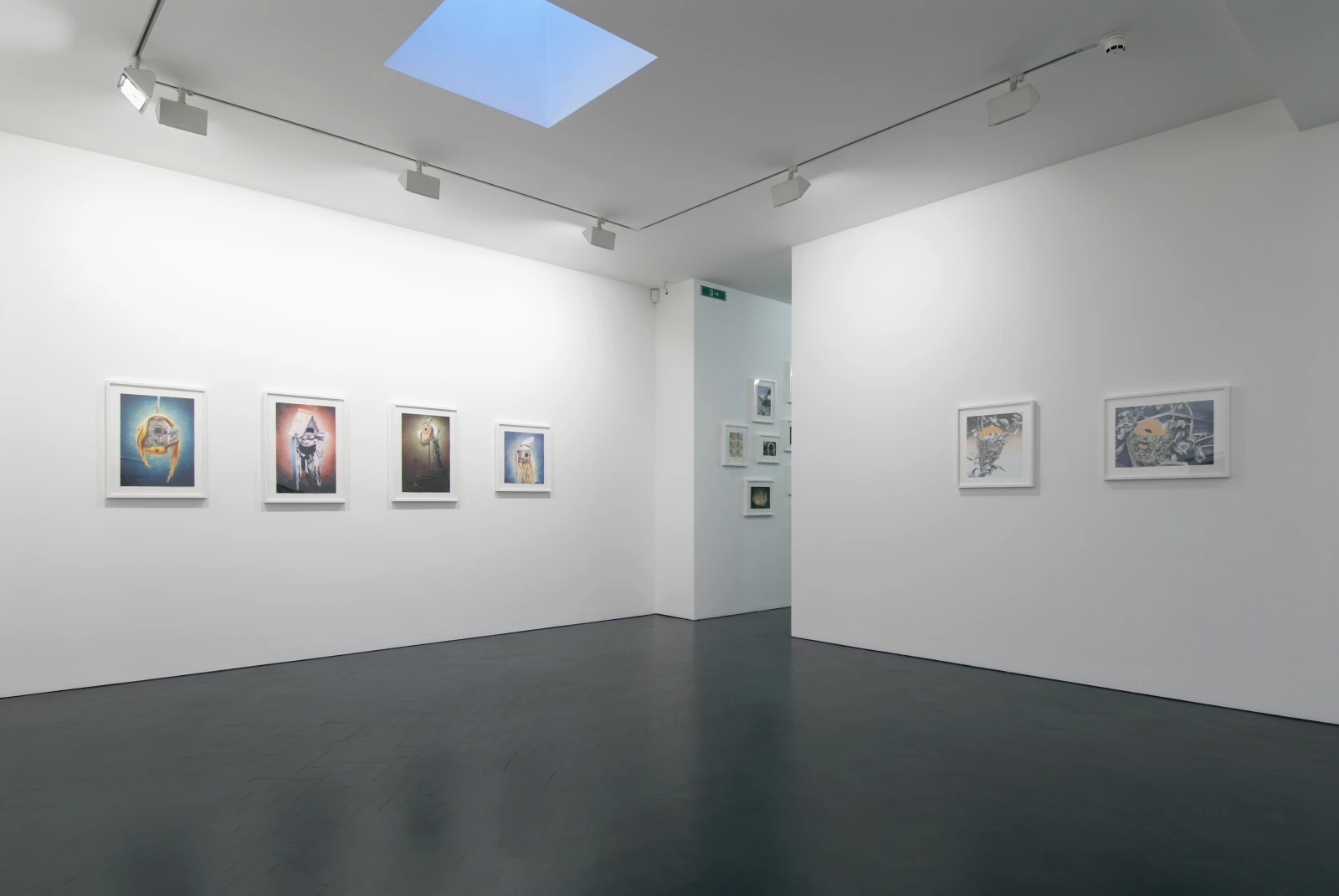 Paul McDevitt: 'Solitary Figure in Landscape' | Stephen Friedman Gallery