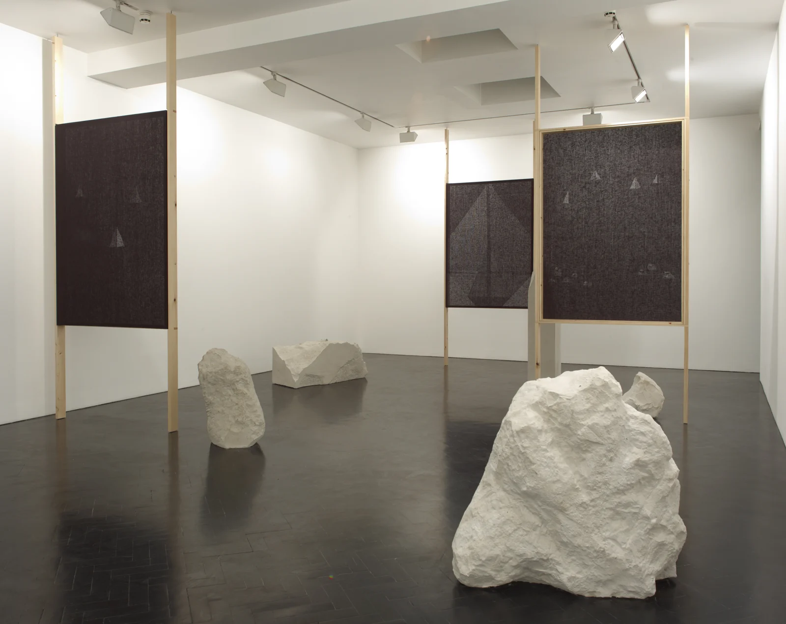 Tonico Lemos Auad | Stephen Friedman Gallery