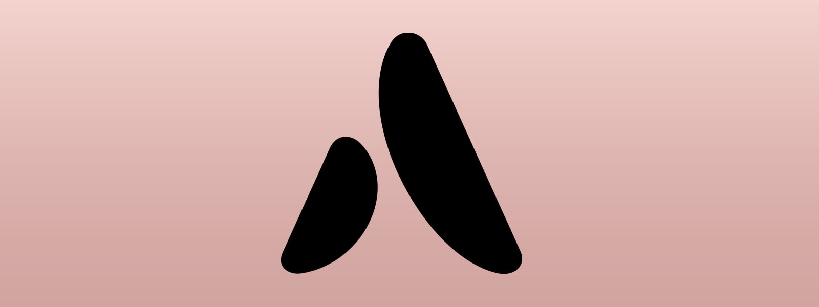 Introducing Amber Galleries