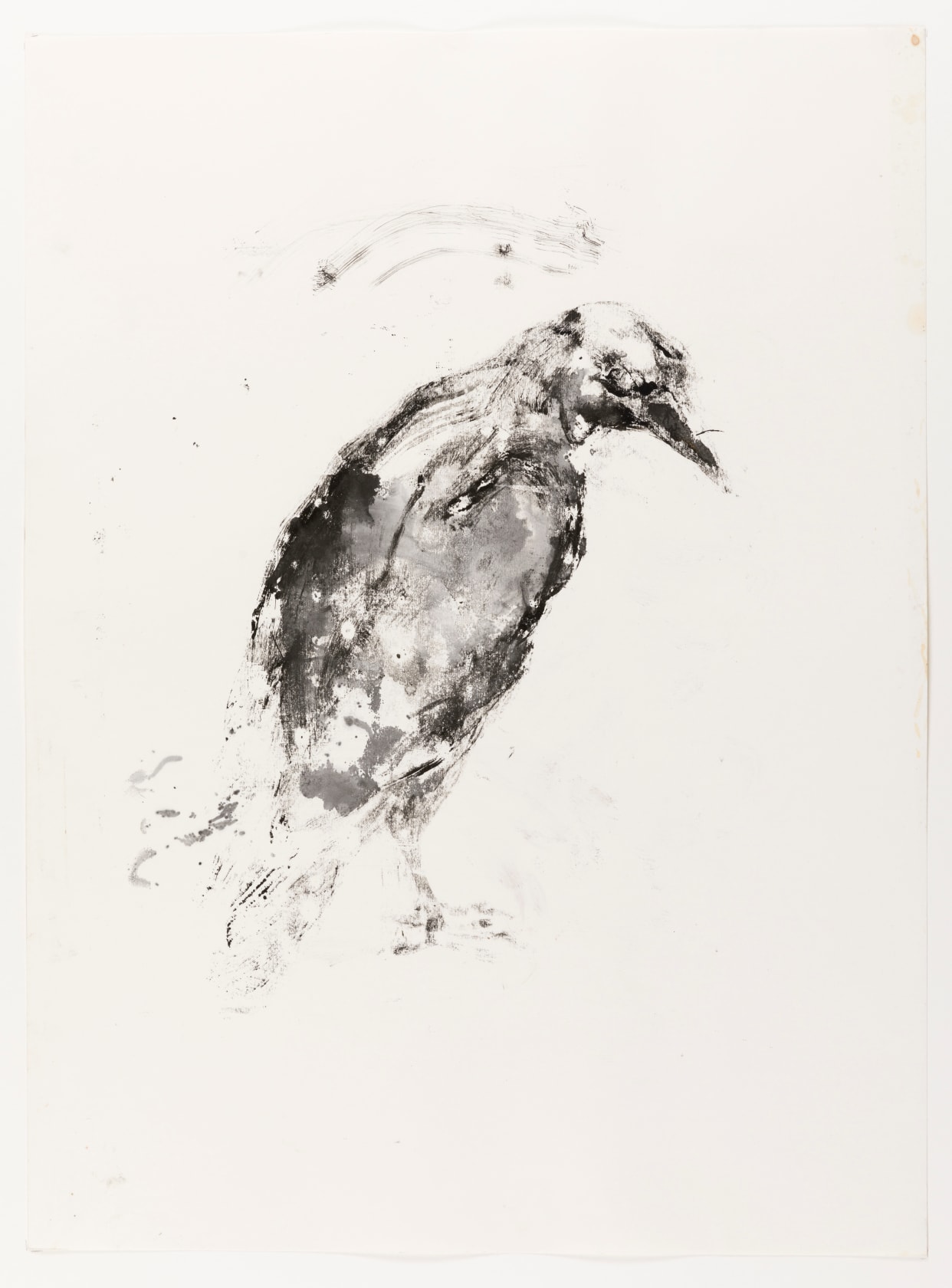 Nicola Hicks, Untitled Crow, 2014 | Flowers Gallery