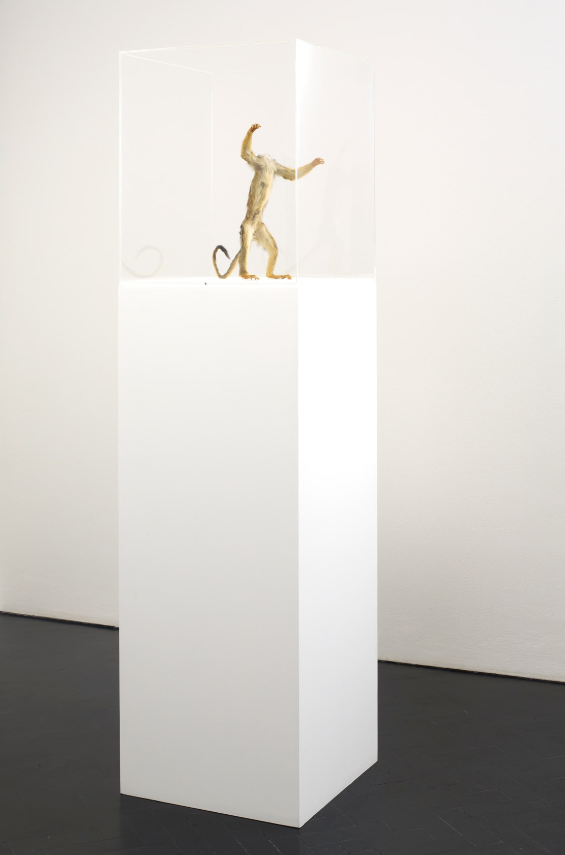 David Shrigley, Headless Monkey, 2012 | Stephen Friedman Gallery