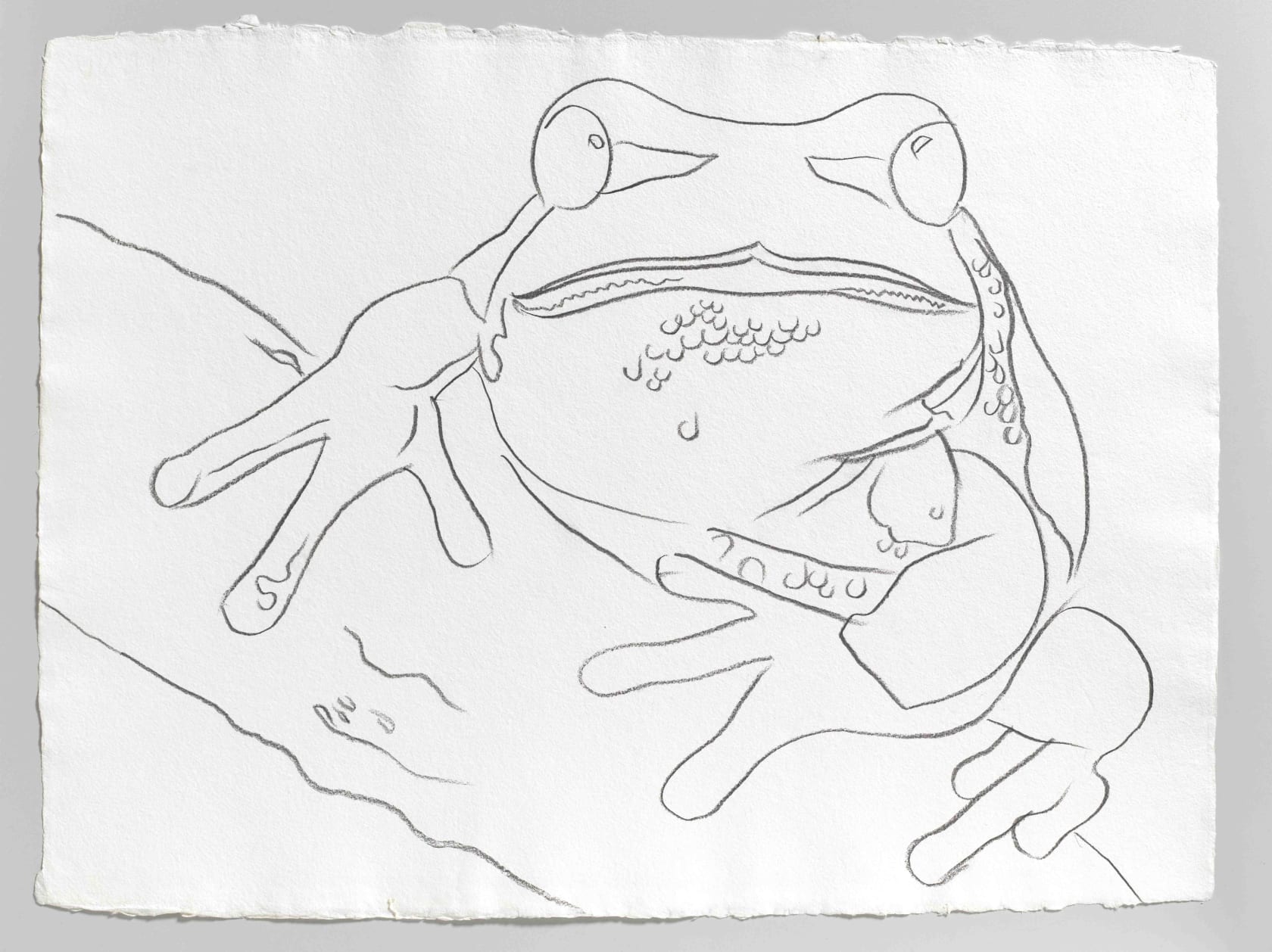 Andy Warhol, Endangered Species: Pine Barrens Tree Frog, 1983 ...