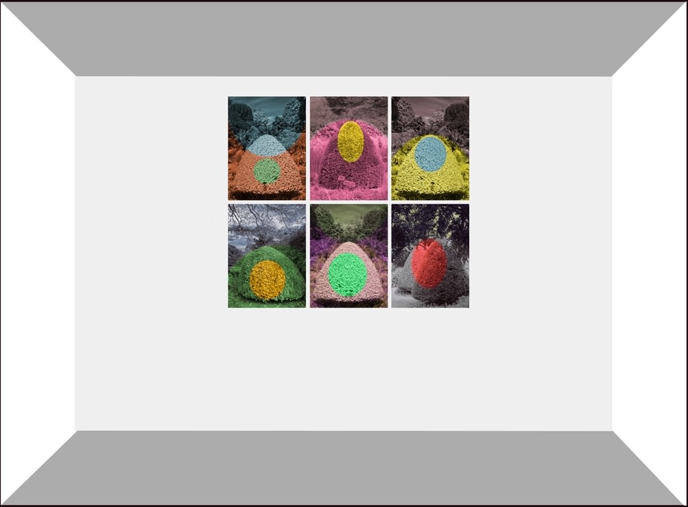 Helen Sear, Surreal Bush - set of six works, 2020 | CENTRE FOR BRITISH ...