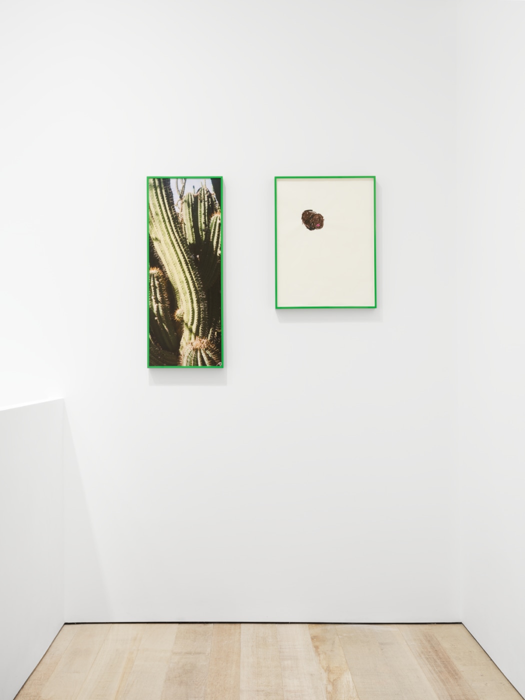 Martine Syms: SOFT - Installation Views | Sadie Coles HQ