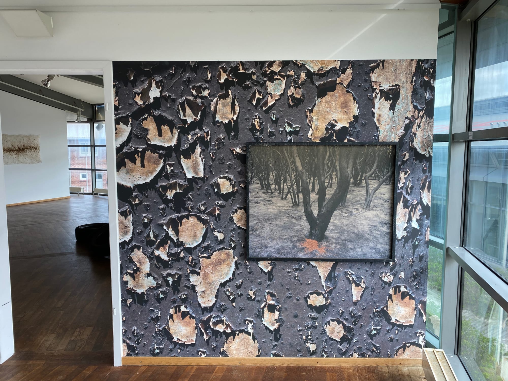 Gideon Mendel, untitled, 2021 | ARTCO Gallery