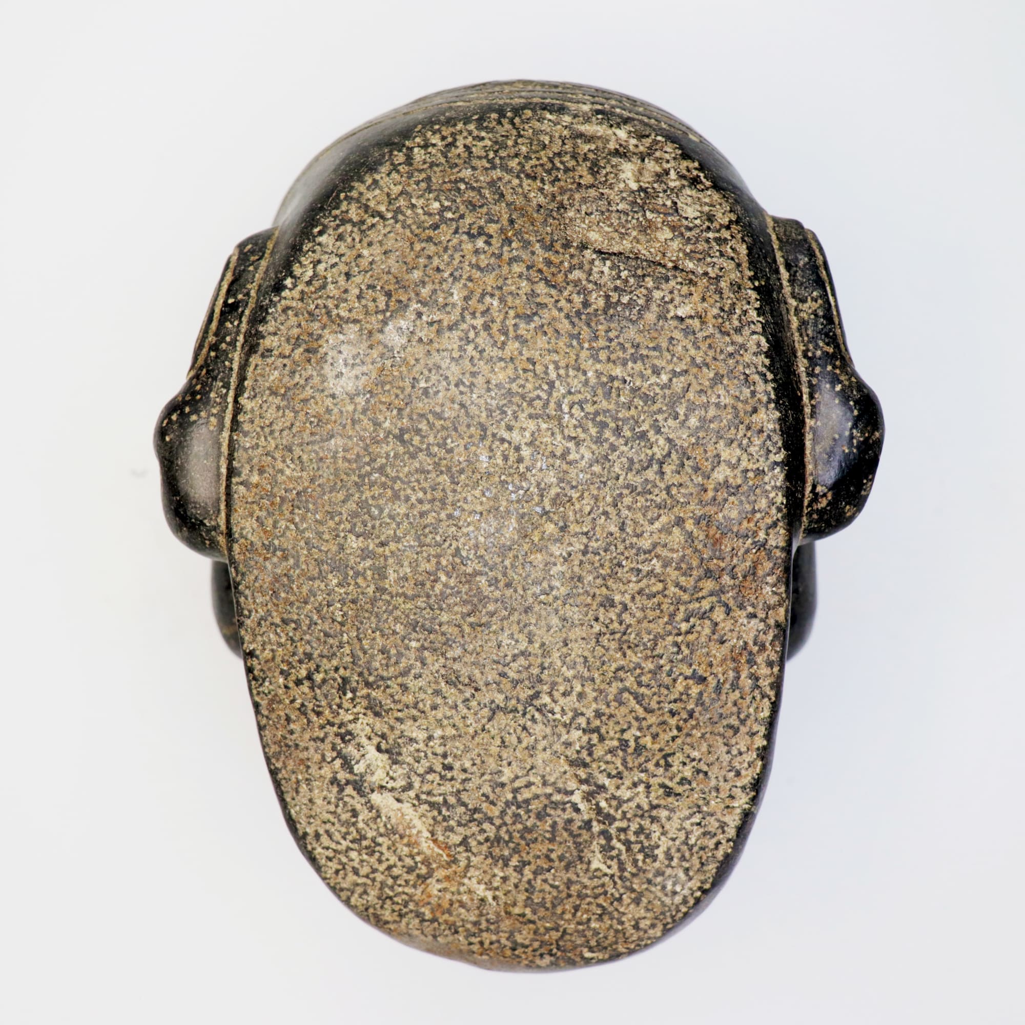 Taíno 'Macorix' Skull, AD 1300 - AD 1500 | Barakat Gallery