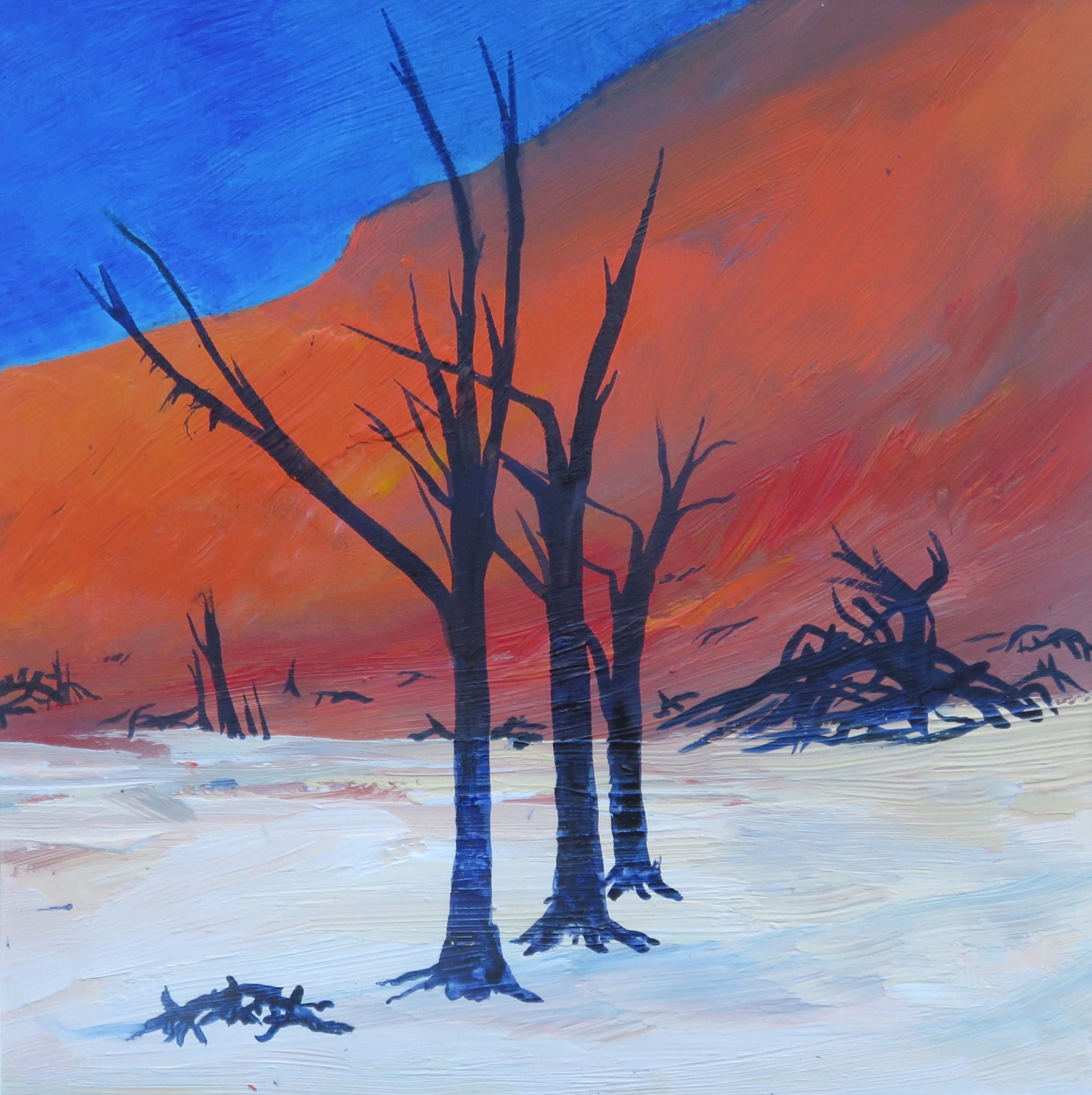 Neil Pittaway RWS RE, Dead Camel Thorn Trees Deadvlei Namibia ...