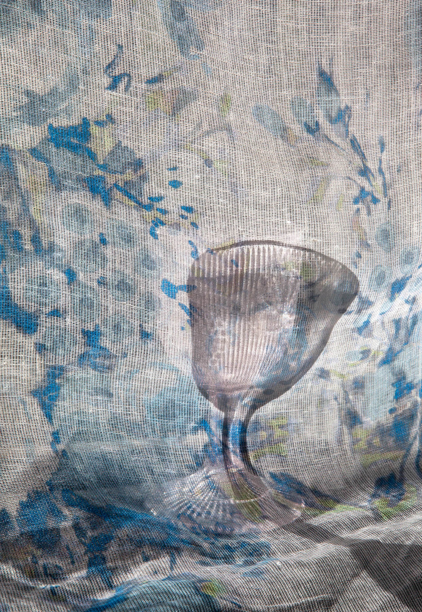 Pam Fox, Wide Cup, 2018 | Bond Millen Gallery