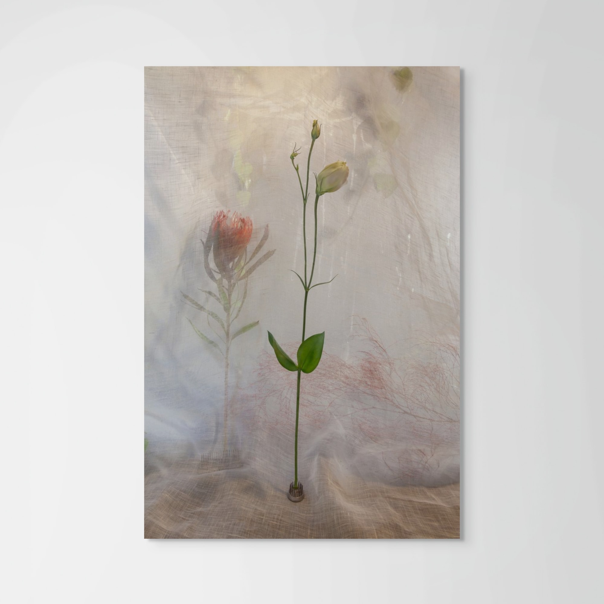 Pam Fox, White Flower, 2024 | Bond Millen Gallery